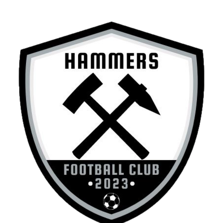 Manitoba Major Soccer League : Website by RAMP InterActive